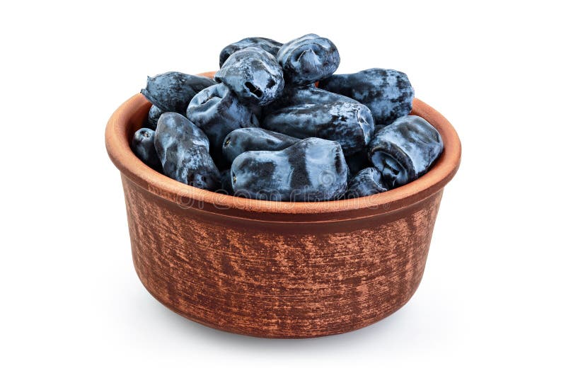 Fresh Honeysuckle Blue Berry in Ceramic Bowl Isolated on White ...