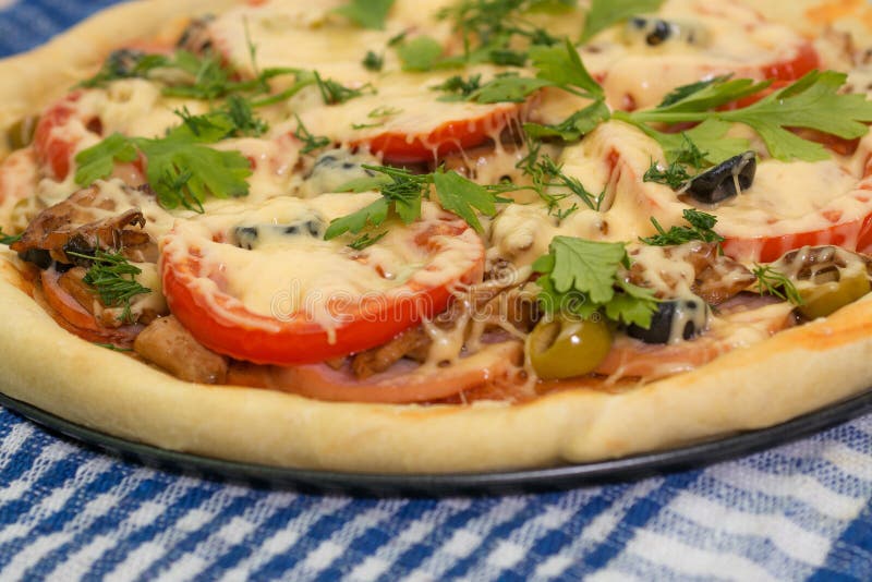 Fresh hot pizza stock image. Image of fast, onion, mozzarella - 63744945