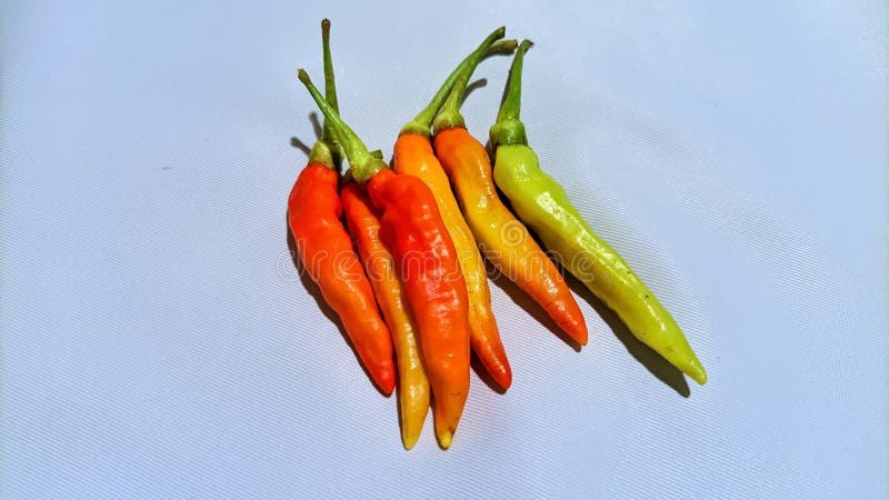 Fresh Hot Red Cayenne Pepper Stock Image - Image of fresh, chilli ...