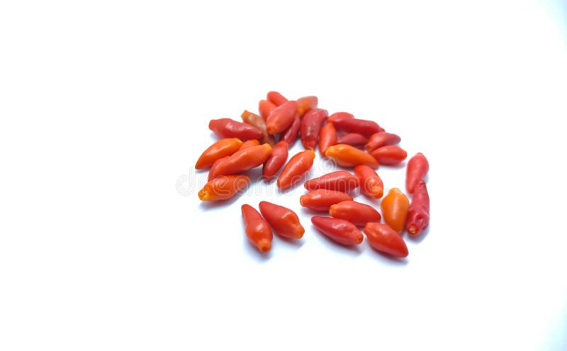 Fresh Hot Red Chili Peppers Isolated on White Back Ground Stock Image ...