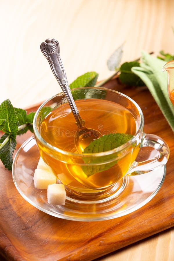 Fresh Hot Tea and Mint on a Tray Stock Photo - Image of herb, pewter ...