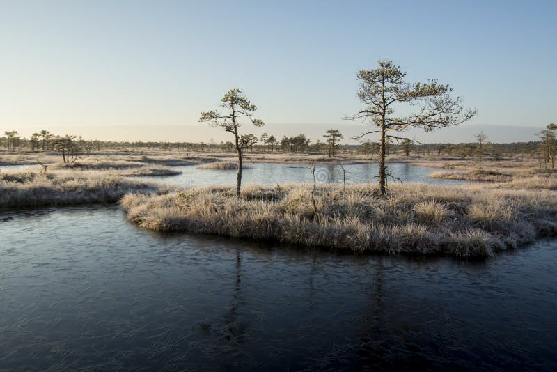Crispy Autumn Air. Happy Small Child Smile Listening To Music on Autumn ...