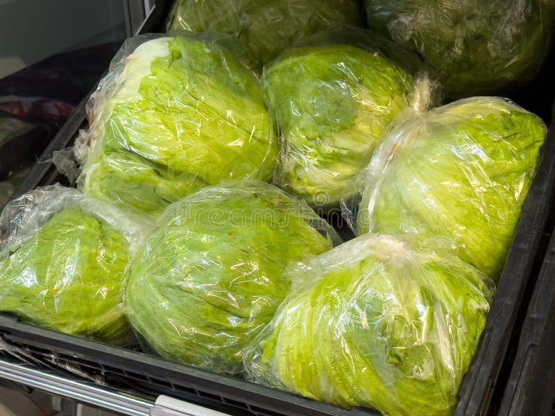 Fresh Iceberg Lettuce Heads Wrapped in Plastic at Grocery Store Display ...
