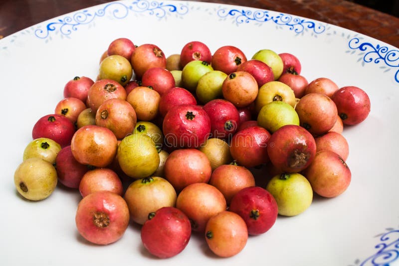 Indian plum stock photo. Image of crisp, glossy, farming - 167638136