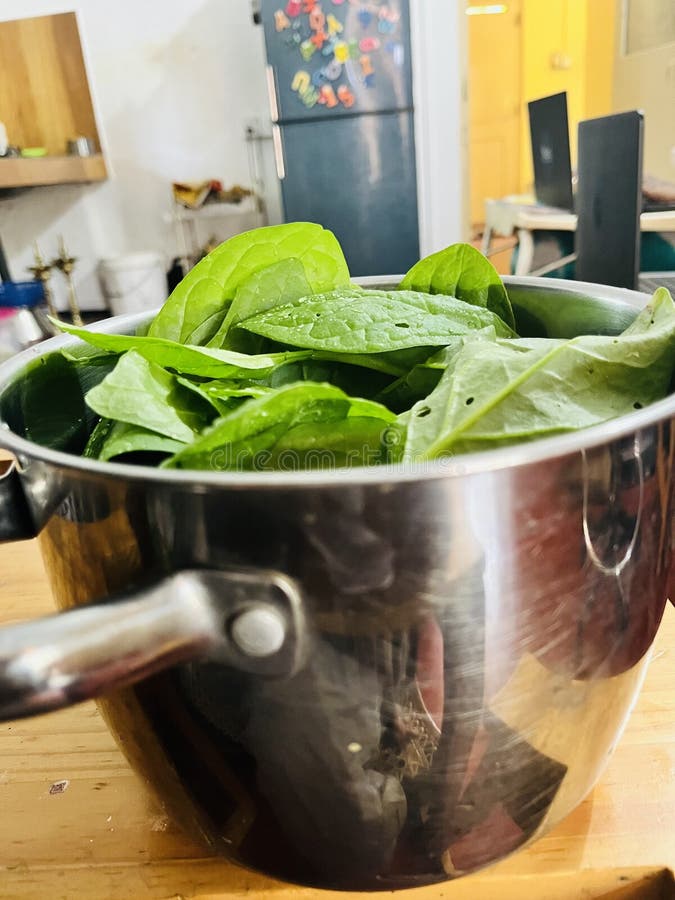 Fresh Indian Spinach Pasali Stock Image - Image of indian, linden ...