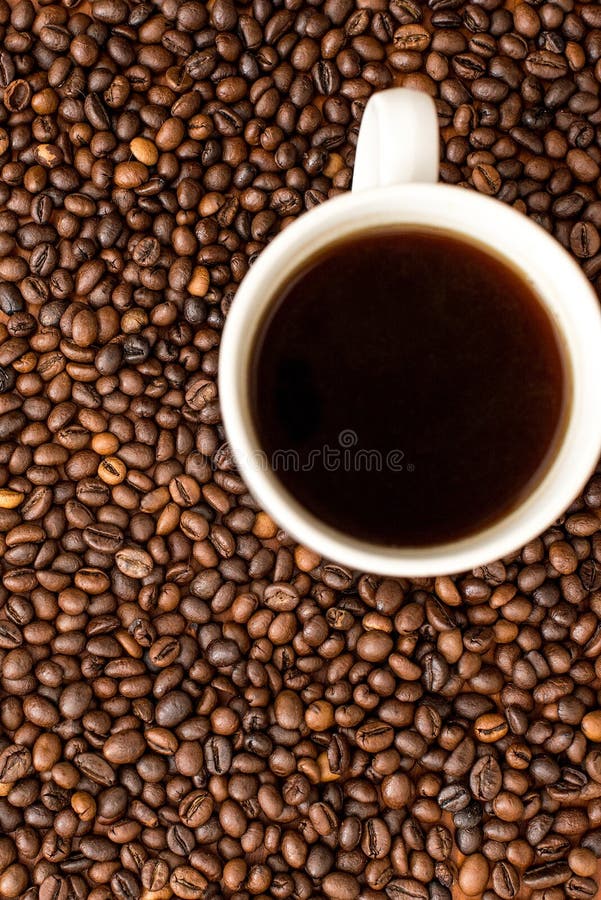 Fresh,invigorating Coffee with Chocolate Stock Image - Image of ...