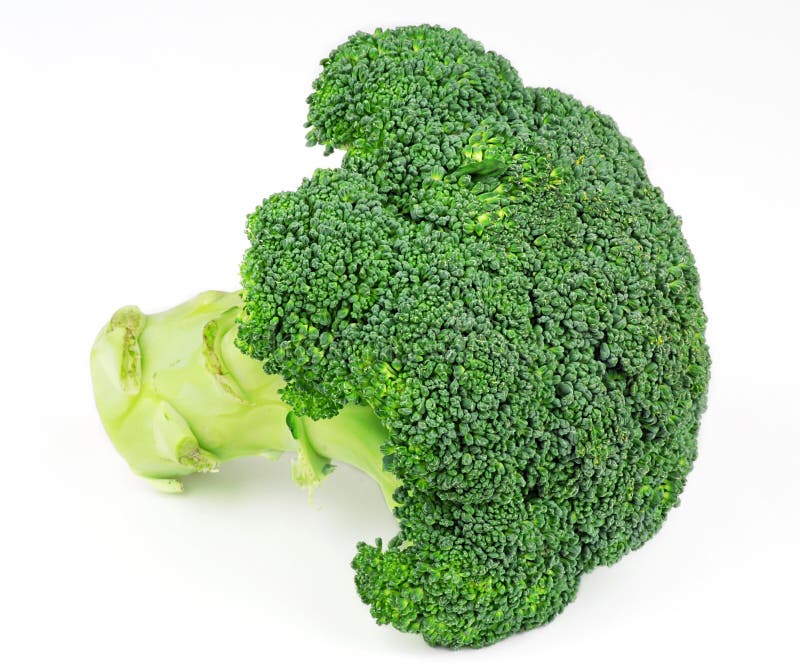 Fresh isolated broccoli stock photo. Image of cuisine - 4754496