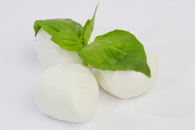 Fresh italian mozzarella stock photo. Image of culture - 26388272