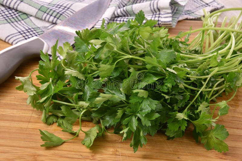 Fresh Italian Parsley stock photo. Image of flavor, leafy - 167937130