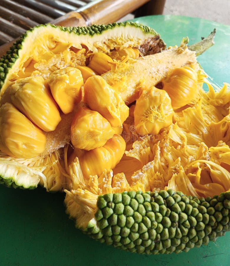 Fresh Jackfruit Cut in Half Stock Image - Image of jackfruit, fresh ...