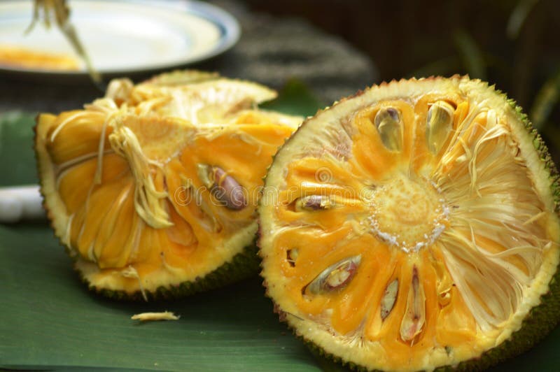 Fresh jackfruit organic stock image. Image of flower - 182303131