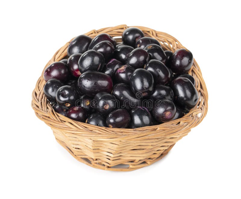 Jabun Stock Photos - Free & Royalty-Free Stock Photos from Dreamstime