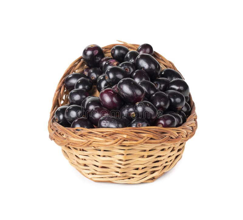 469 Indian Blueberry Stock Photos - Free & Royalty-Free Stock Photos ...