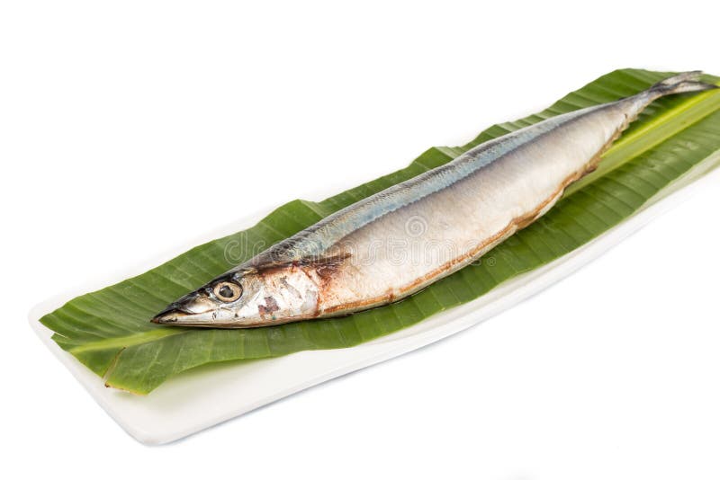 Fresh Japanese Sanma Fish on Leaf Stock Photo - Image of isolated ...