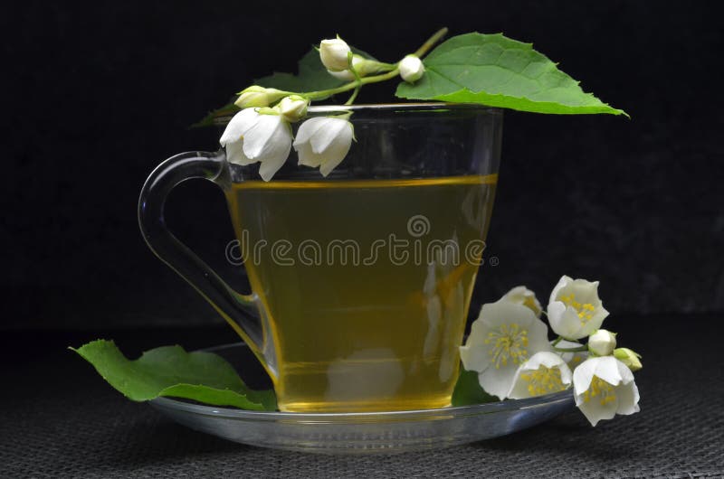 Jasmine tea with flowers stock photo. Image of beverage - 95375328