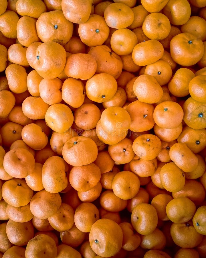 Sweet Mandarin Oranges stock image. Image of isolated - 9188135