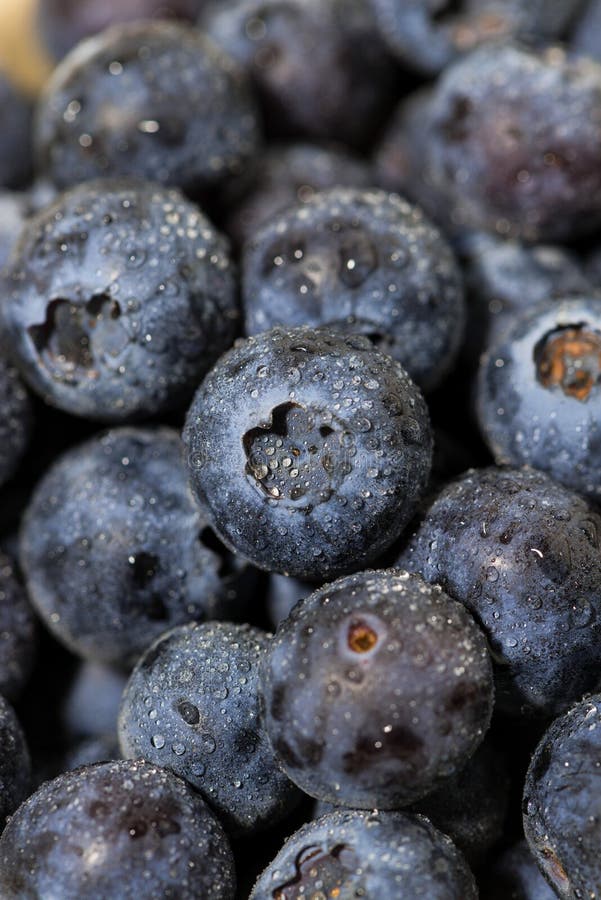 Fresh Juicy Blueberries, Closeup Vertical Stock Image - Image of eating ...