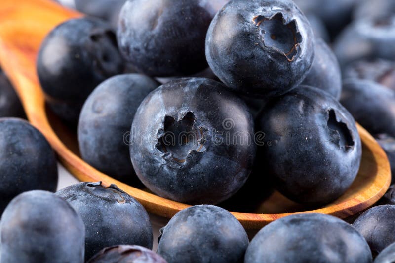 Blueberries on White Background Stock Photo - Image of fresh, isolated ...