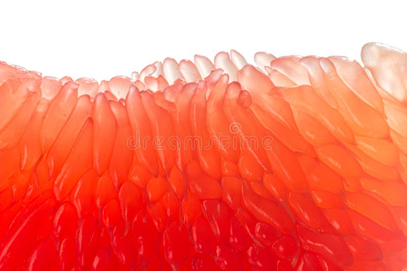 Fresh Juicy Grapefruit Pulp on White Background Stock Image - Image of ...