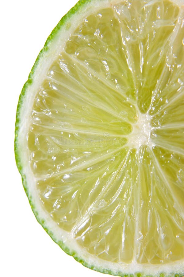 Fresh Juicy Lime in Closeup Stock Photo - Image of closeup, fresh: 11064058