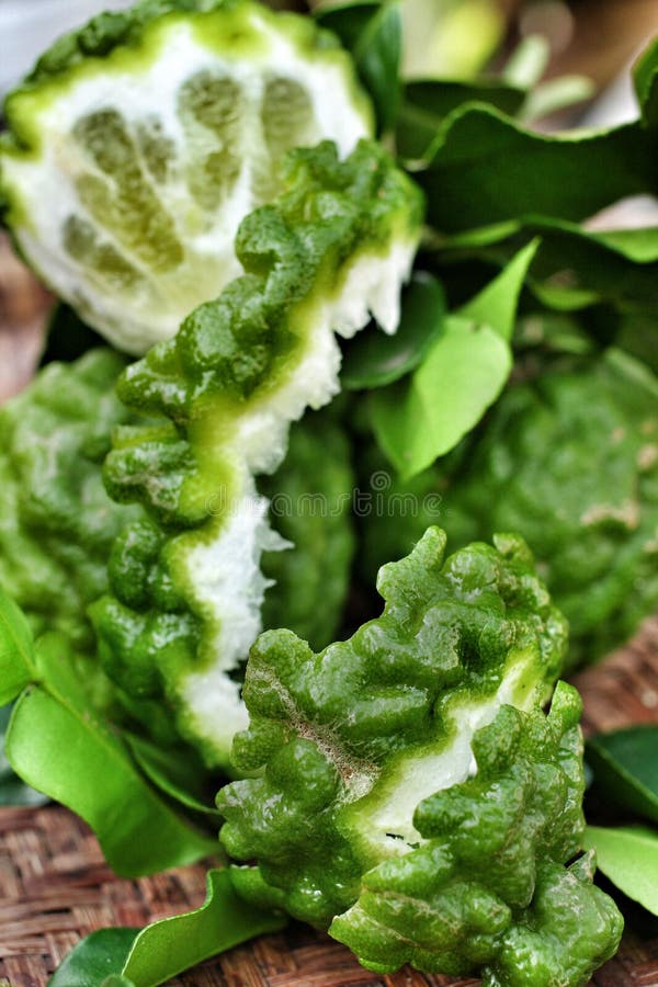 Fresh kaffir stock photo. Image of food, textured, thai - 34310766