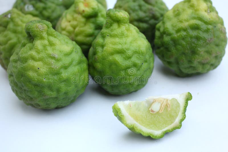 Fresh kaffir stock photo. Image of asia, surface, asian - 34310728