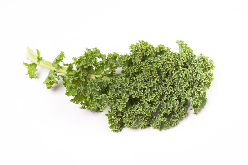 Fresh kale stock photo. Image of lettuce, diet, salad - 25149228
