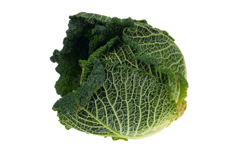 Fresh kale stock photo. Image of abstract, dietary, delicious - 3627066