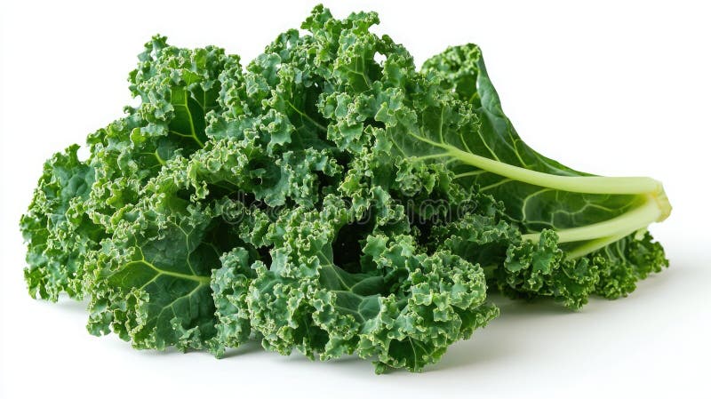 Fresh Kale Leaves with Rich Green Color and Curly Texture on White ...