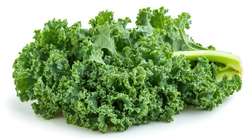 Fresh Kale Leaves with Rich Green Color and Curly Texture on White ...