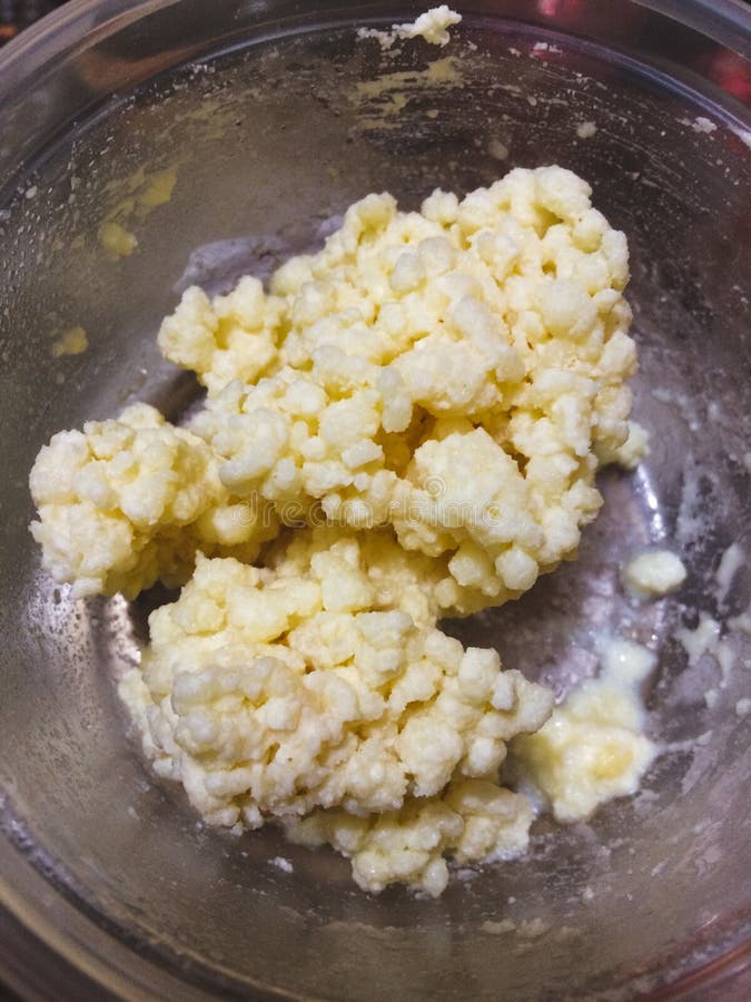 Kefir's Grains Stock Photos - Free & Royalty-Free Stock Photos from ...