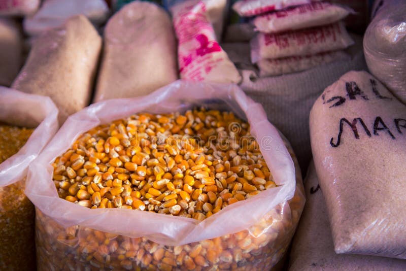 Fresh kernels of corn stock image. Image of maize, peru - 108855783