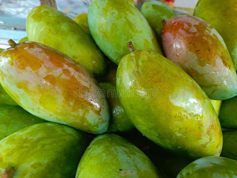 Kiojay Mango Stock Photos - Free & Royalty-Free Stock Photos from ...