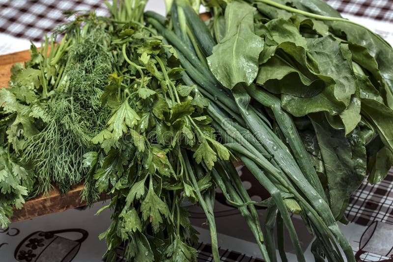 Fresh kitchen herbs stock photo. Image of plants, ayran - 96461492