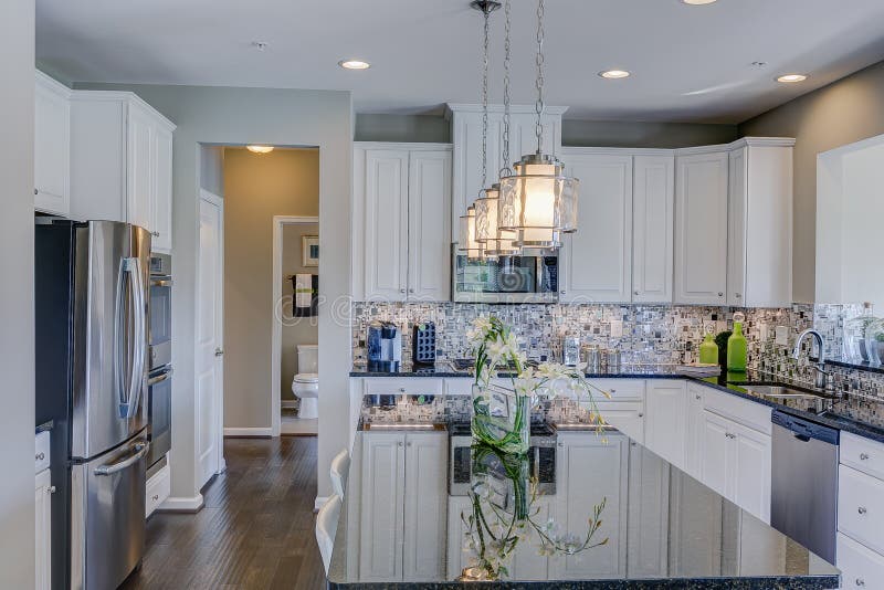 Fresh Kitchen stock photo. Image of house, floor, game - 100671334