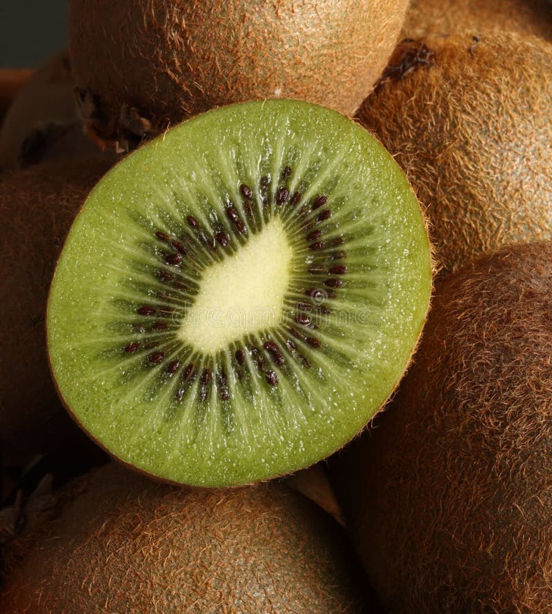 Fresh kiwi stock image. Image of healthy, green, kiwi - 20279361