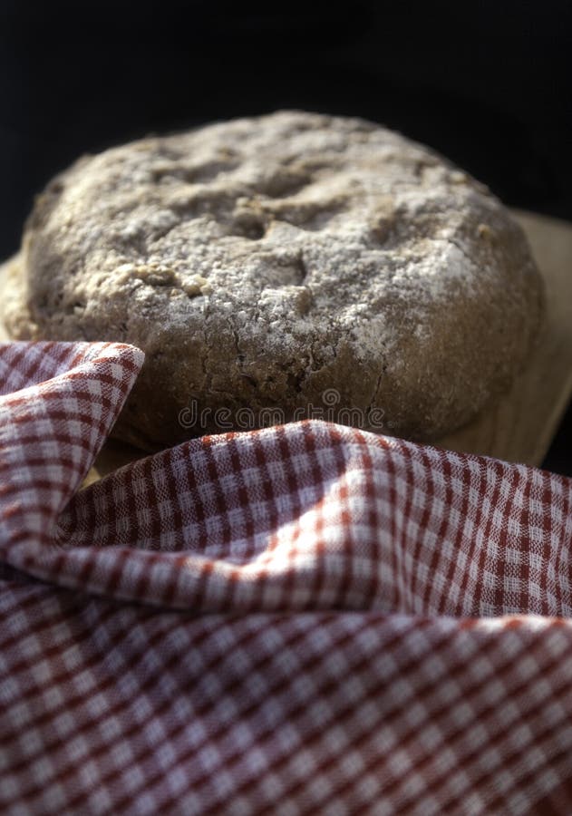 Fresh kneaded dough stock photo. Image of cuisine, grain - 37885862