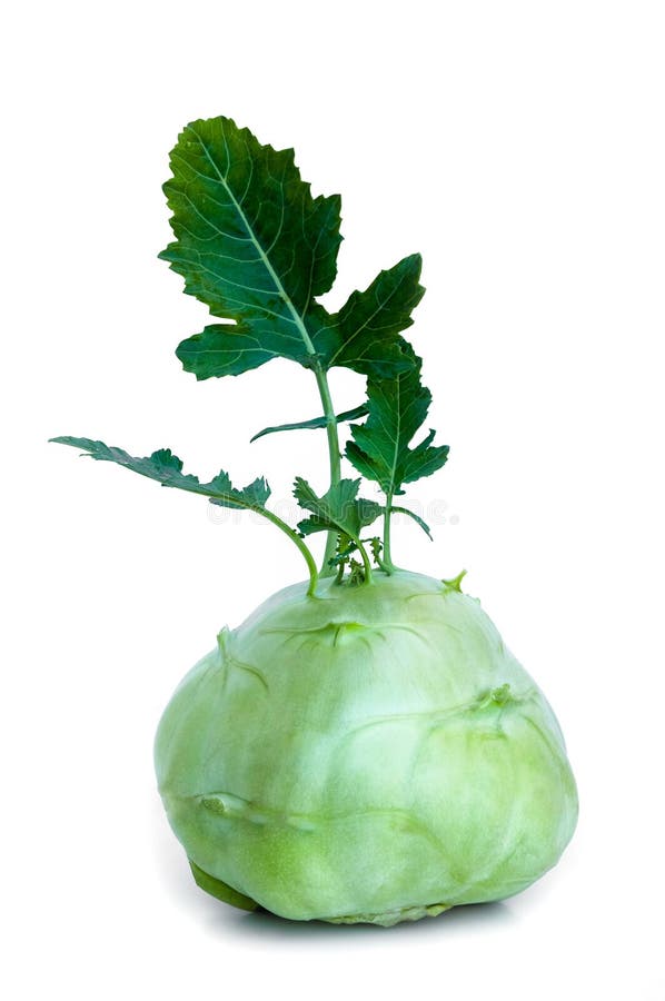 Fresh Kohlrabi with Green Leaves on Isolated White Backround Stock ...