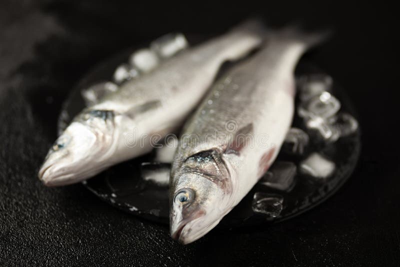 Fresh Labrax on Ice, Raw Sea Fish. Protein and Omega 3 Stock Photo ...