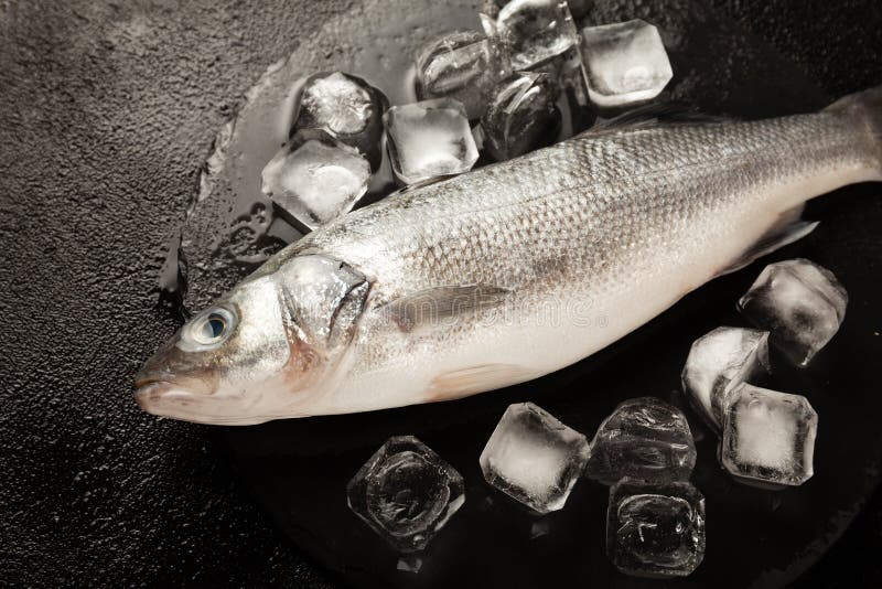 Fresh Labrax on Ice, Raw Sea Fish. Protein and Omega 3 Stock Photo ...