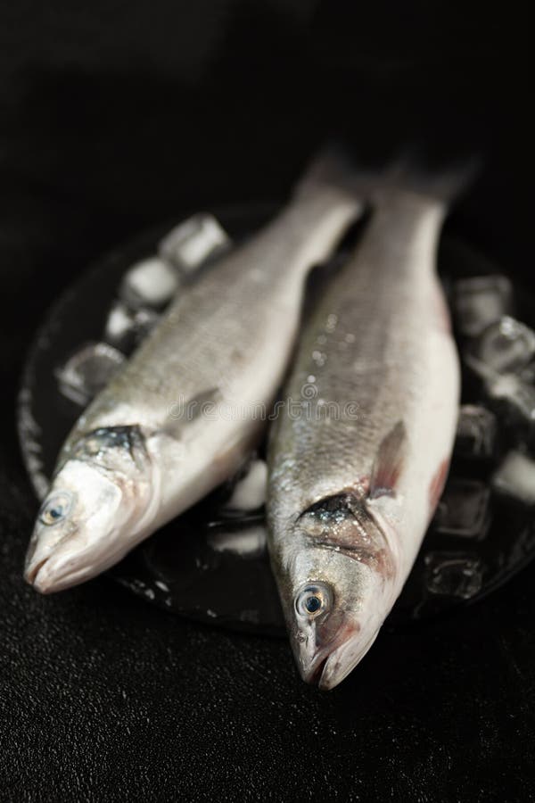 Fresh Labrax on Ice, Raw Sea Fish. Protein and Omega 3 Stock Image ...
