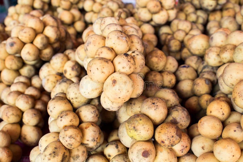 Fresh langsat fruit stock photo. Image of luscious, vegetables - 33670200
