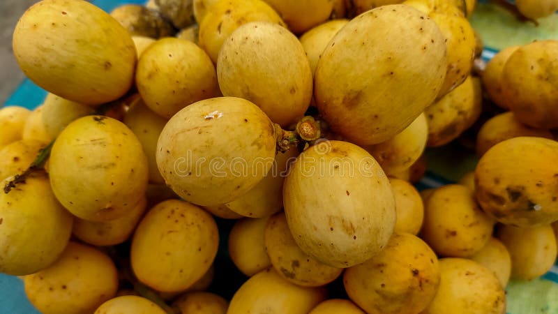 Fresh Langsat Fruit Sold by Fruit Traders in Papua Stock Image - Image ...