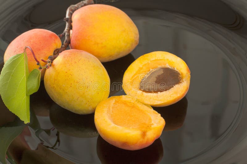 Fresh large apricot stock image. Image of ripe, beautiful - 32020889