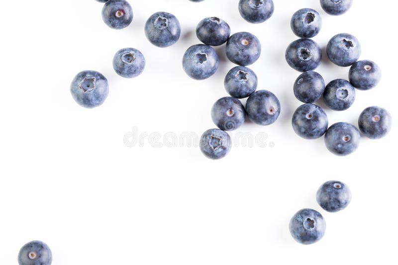 Fresh large blueberry stock image. Image of blueberry - 179344335