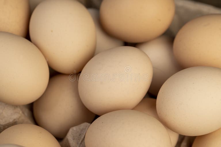 Fresh Large Chicken Eggs during Packaging Stock Photo - Image of round ...