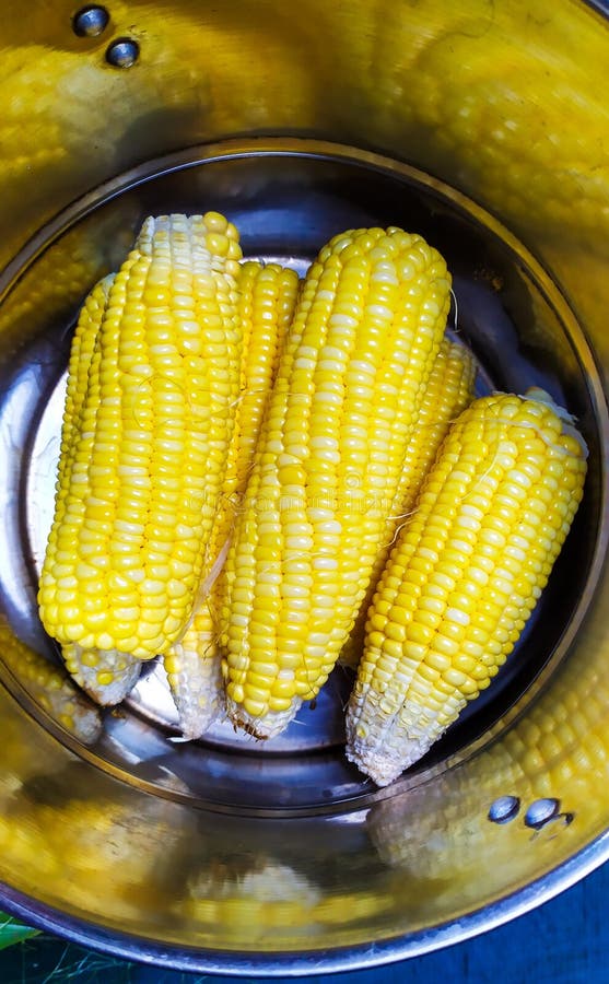 Fresh and Large Corn that Will Be Boiled Stock Photo - Image of corn ...