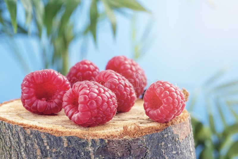 Fresh Large Red Berries of Ripe Raspberries Close-up. Stock Photo ...