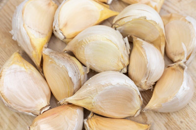 Fresh Large Size Garlic Cloves Closeup Stock Photo - Image of condiment ...
