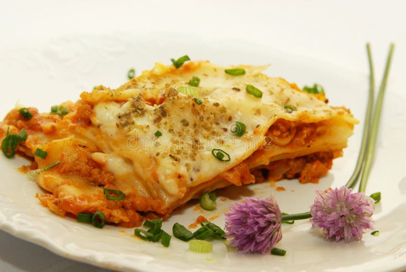 Fresh lasagna stock photo. Image of food, traditional - 44674796